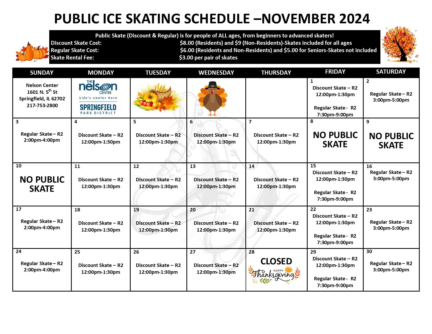 Nelson Center Ice Rink | Springfield Park District